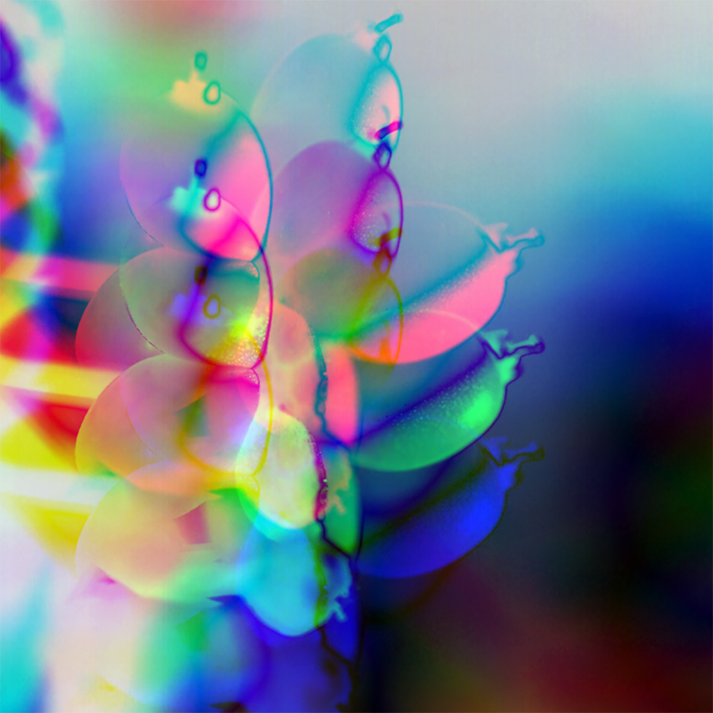 （ブログ）NFTってなんだろう？基本的なNFTのやり方と身ぐるみはがされないための注意点 | 株式会社アルゴバース